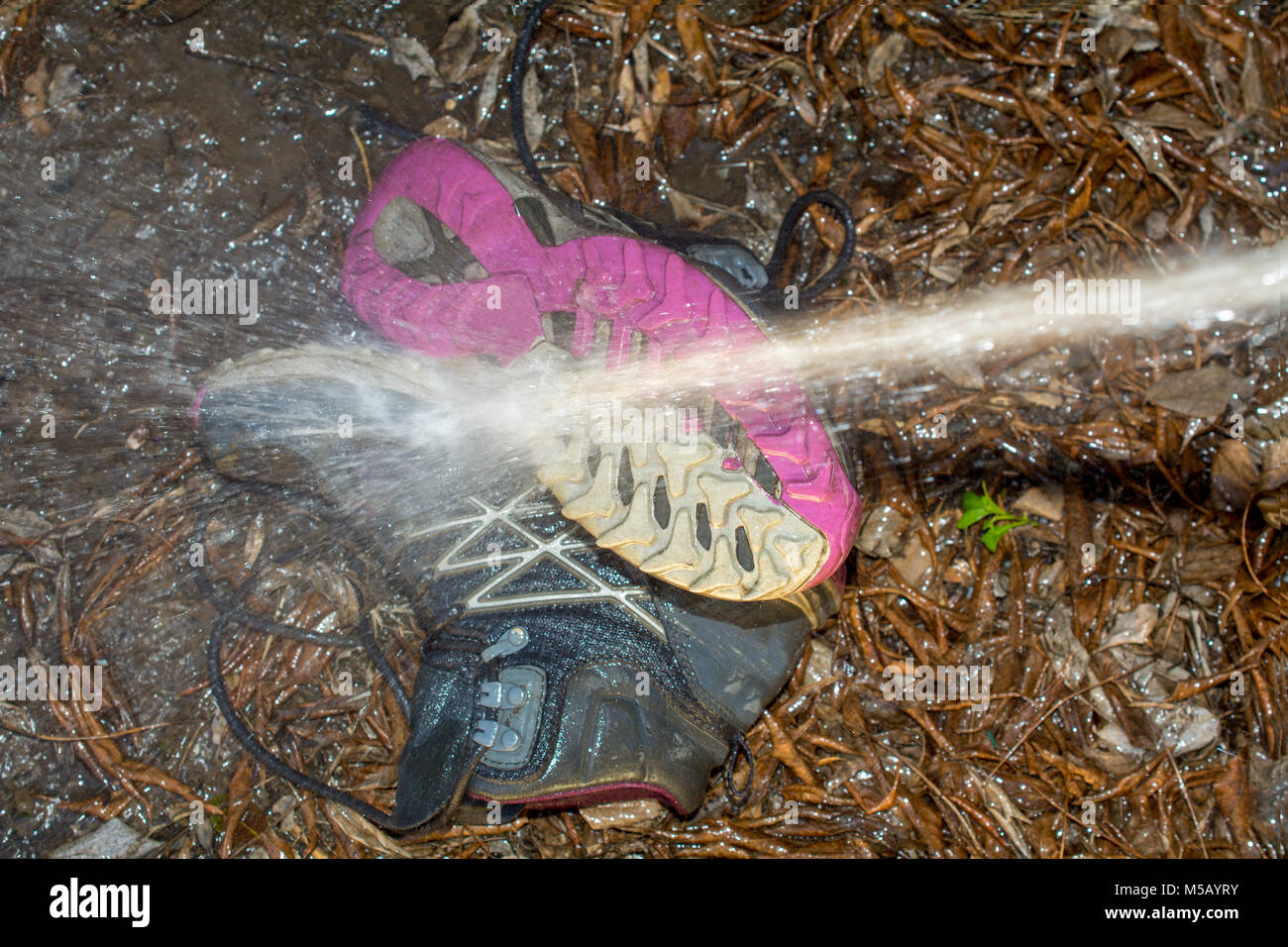 Cleaning muddy boots hi-res stock photography and images - Alamy