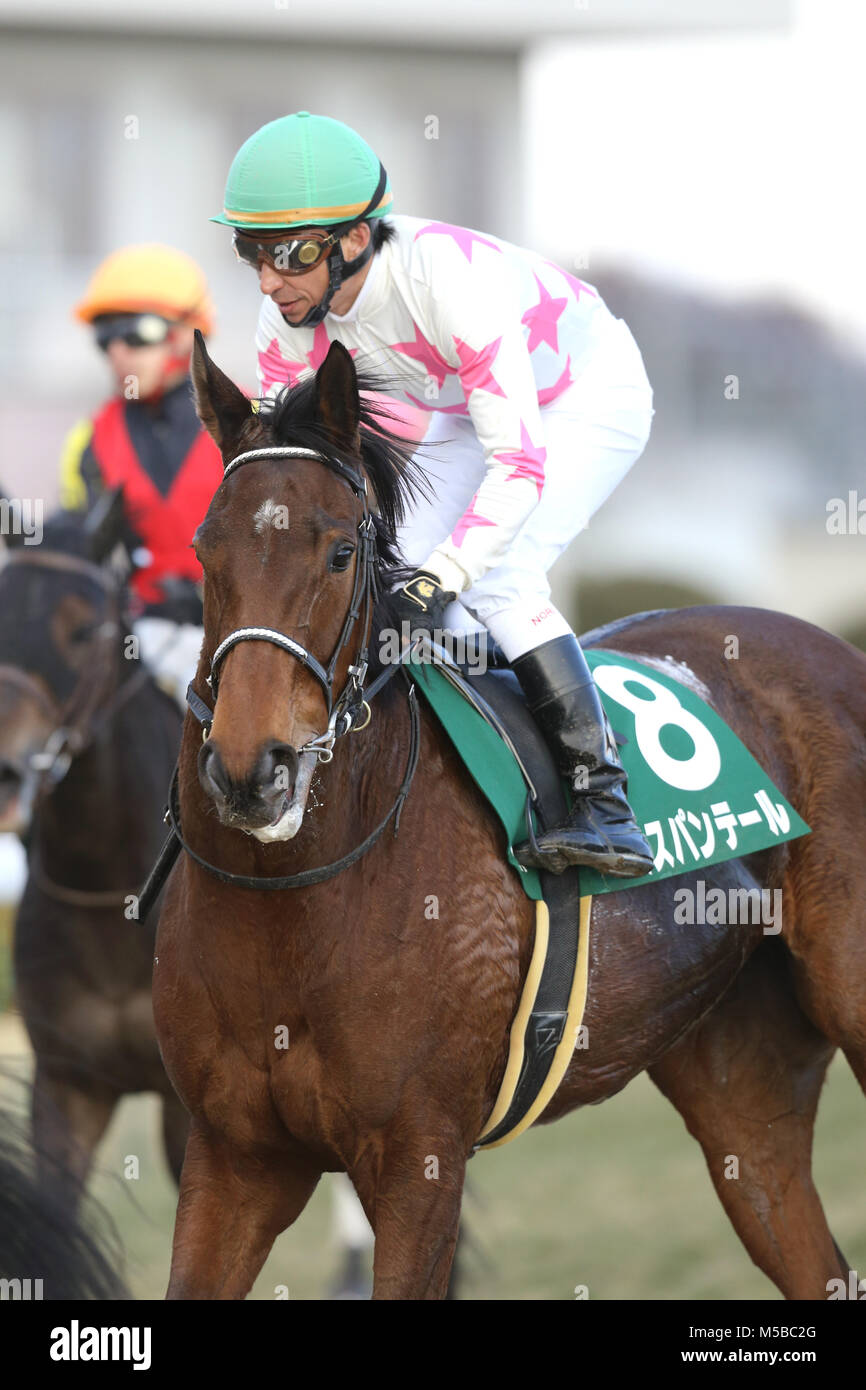 Miss Panthere (Norihiro Yokoyama), FEBRUARY 17, 2018 - Horse Racing ...