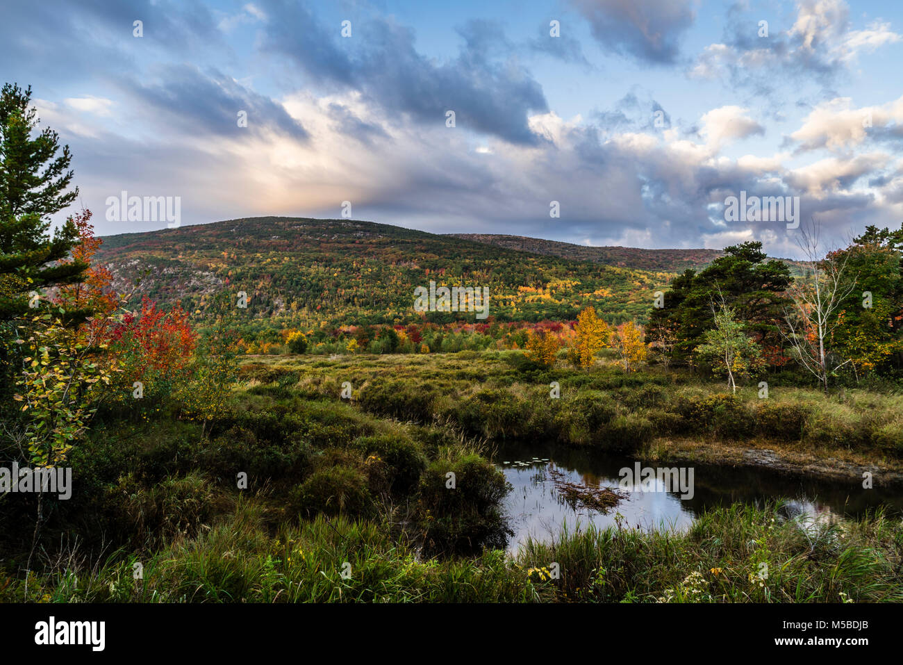 Acadia National Park Mount Desert Island, Maine, USA Stock Photo - Alamy