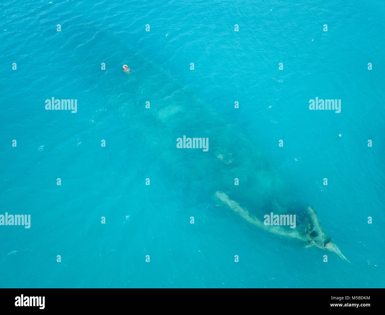 Central america shipwreck hi-res stock photography and images - Alamy