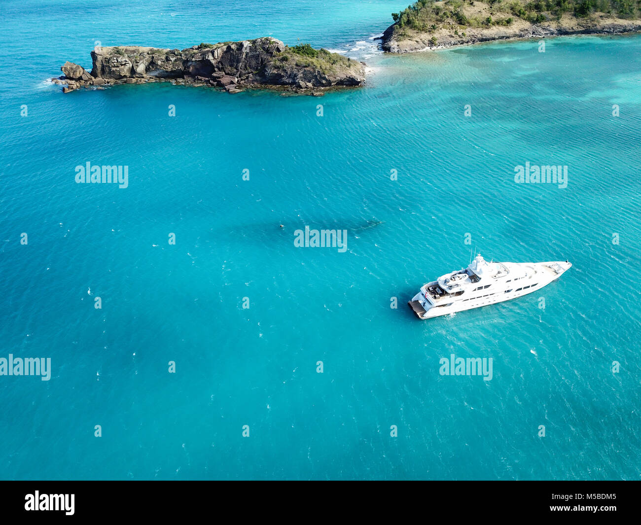Wreck of the Andes, a 1874 three-masted steel sailing barque sunk in ...