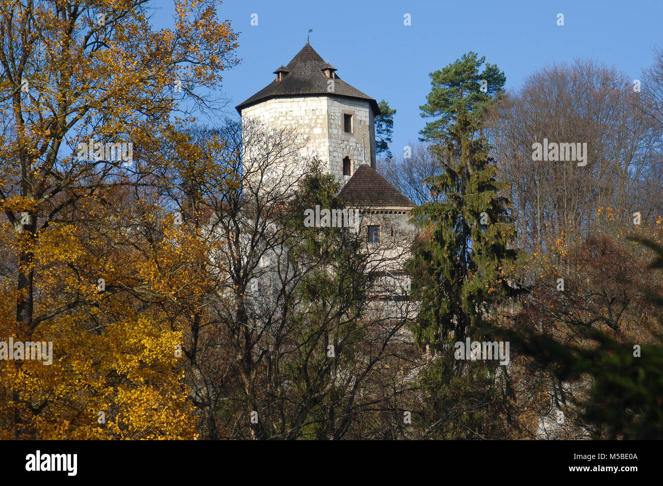 Castle In The Forest with Trees with Golden Dry Leaves Stock Photo - Alamy