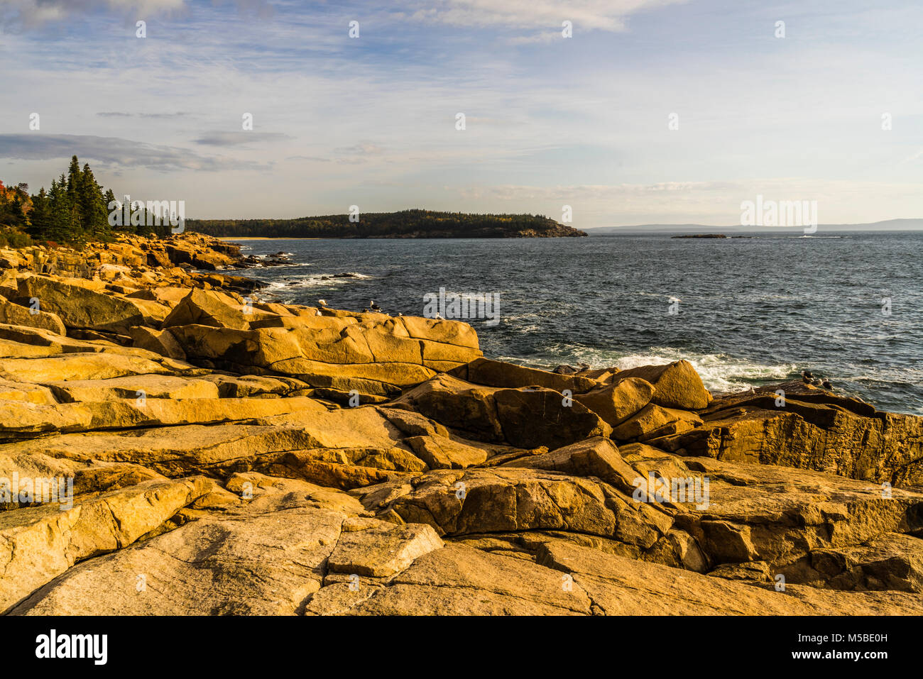 Acadia National Park Mount Desert Island, Maine, USA Stock Photo - Alamy