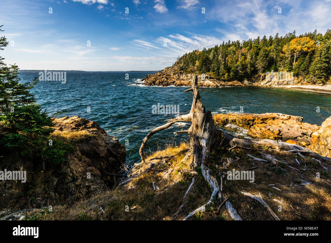 Acadia National Park Mount Desert Island, Maine, USA Stock Photo - Alamy