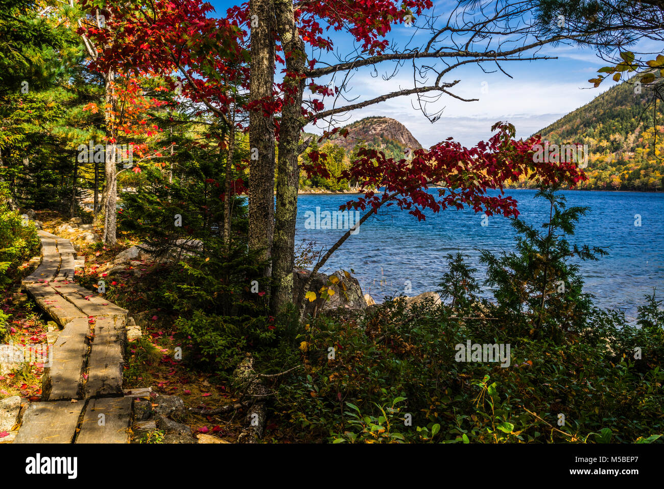 Acadia National Park Mount Desert Island, Maine, USA Stock Photo - Alamy