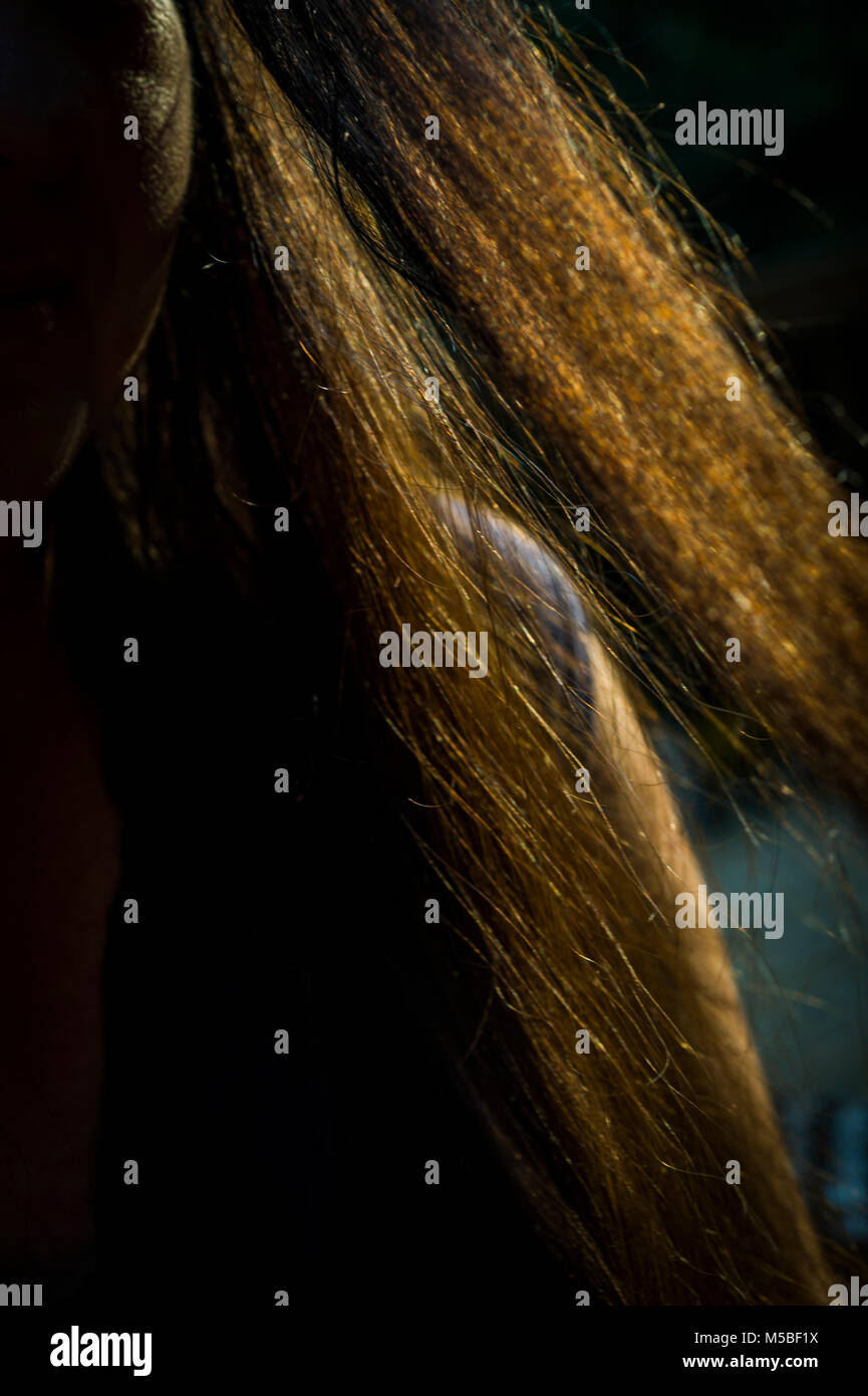 Woman hair backlit with sunset Stock Photo - Alamy