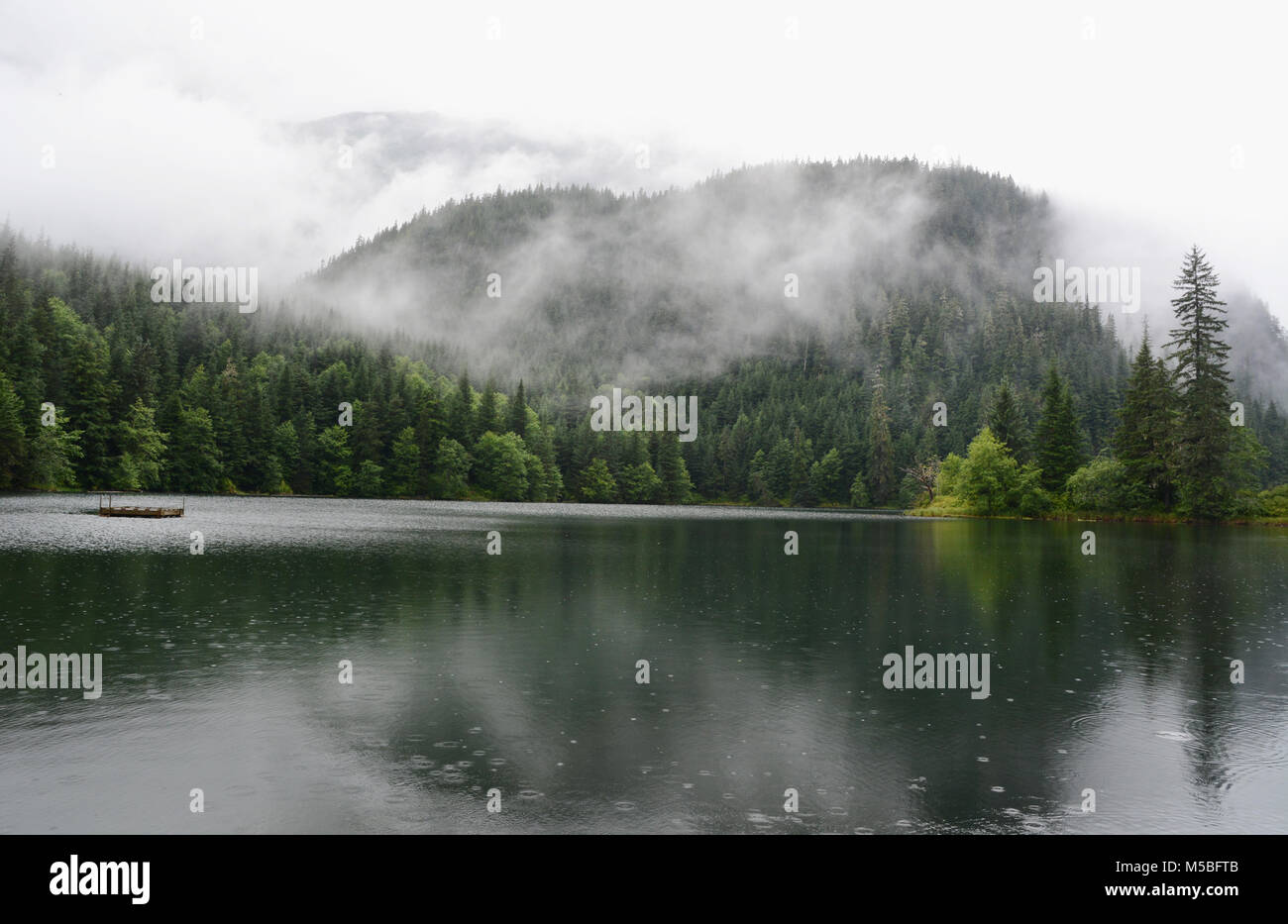 A foggy and mountainous temperate rainforest reflected in a lake at ...