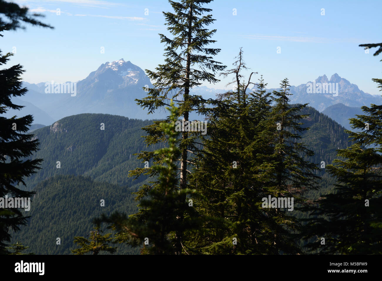 The summit of Mount Robie Reid and Mount Judge Howay in the Garibaldi ...