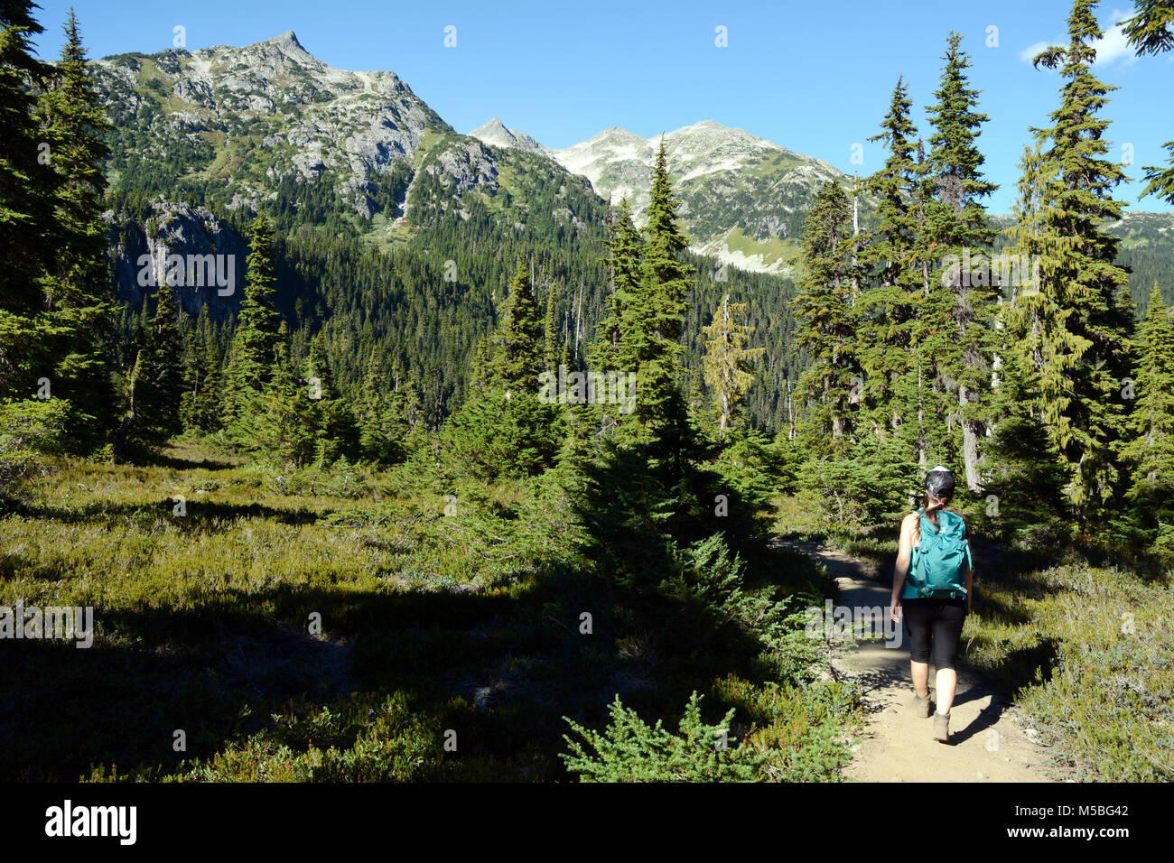A female hiker on a trail in a sub-alpine meadow beneath Rainbow ...