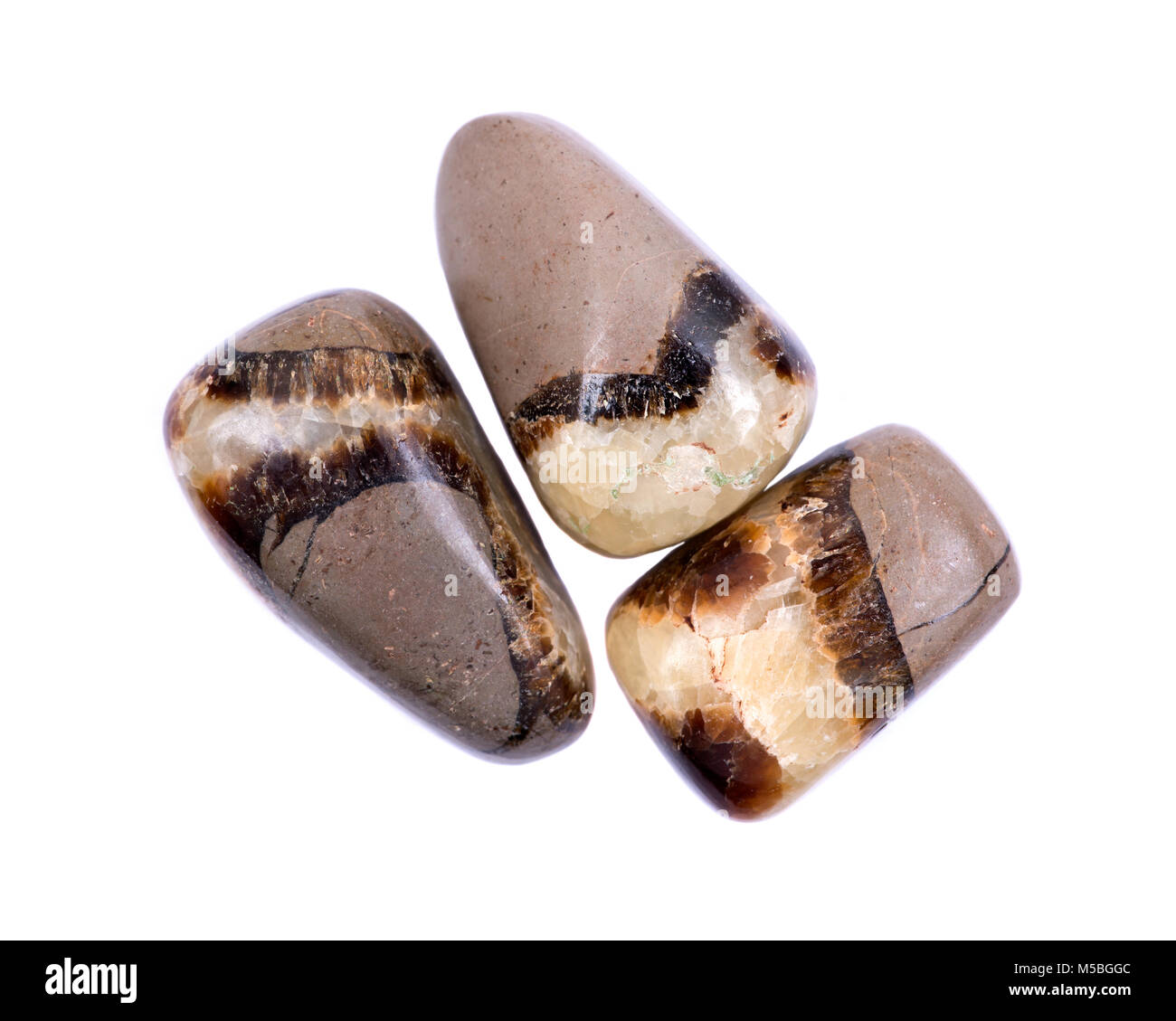 Highly polished tumbled Septarian from India isolated on white ...