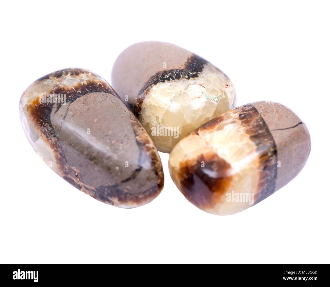 Highly polished tumbled Septarian from India isolated on white ...