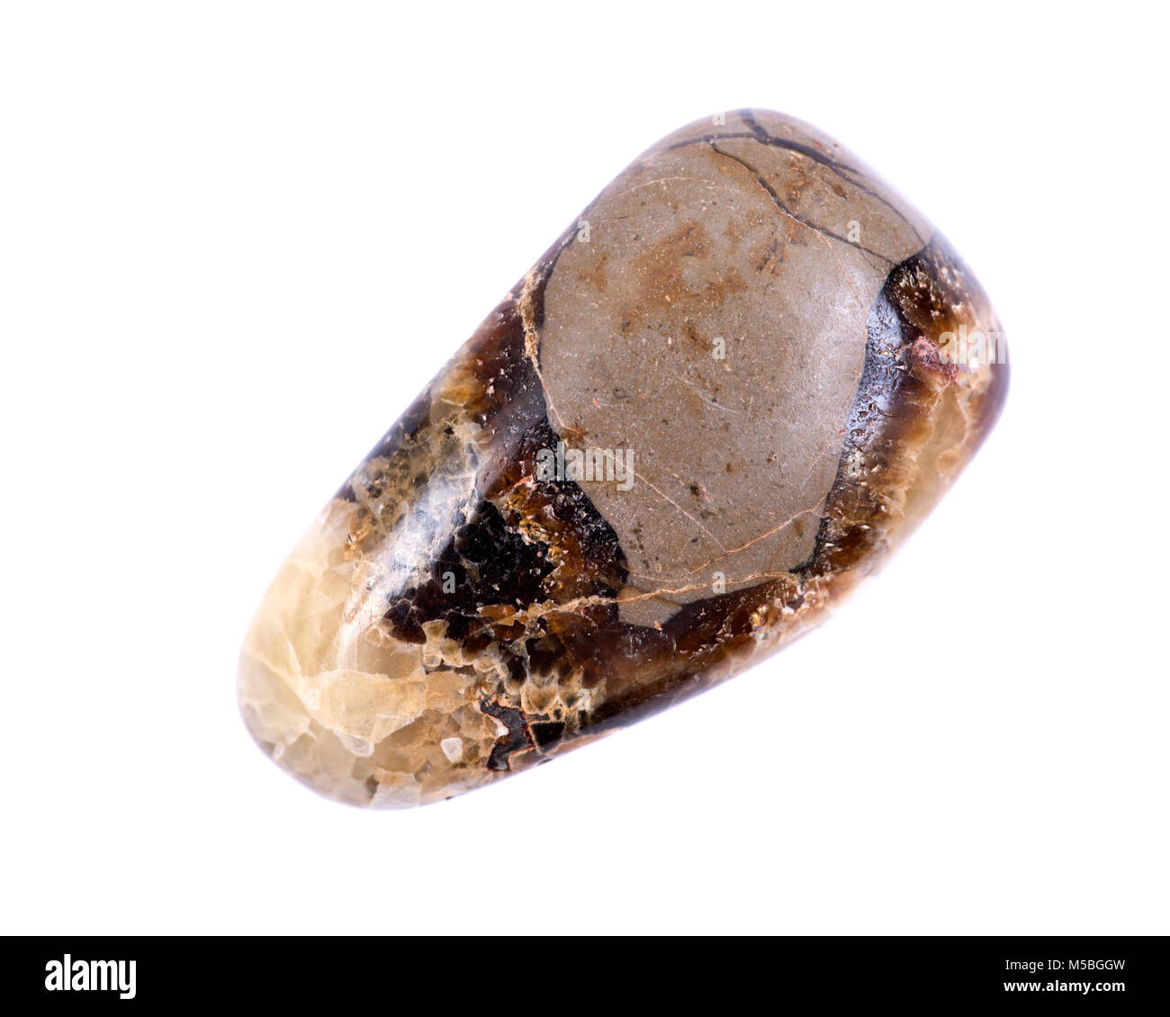 Highly polished tumbled Septarian from India isolated on white ...