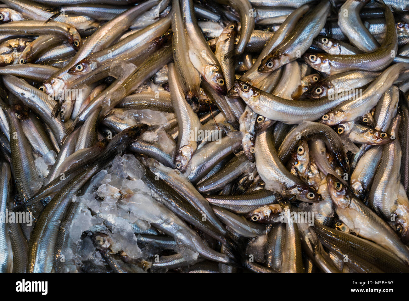 Fish Chinatown Manhattan New York, New York, USA Stock Photo - Alamy