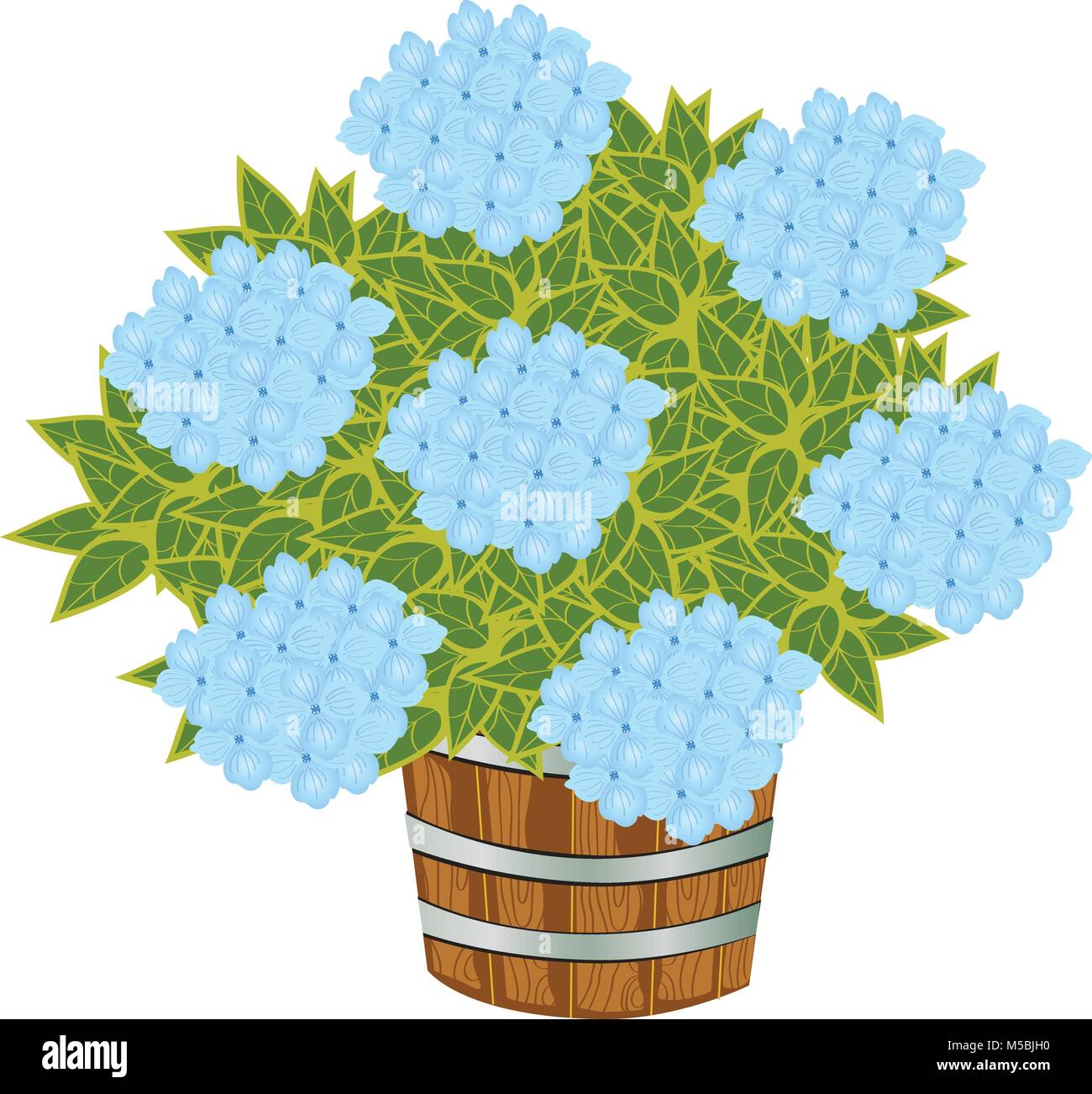 Blue hydrangea Stock Vector Images - Alamy