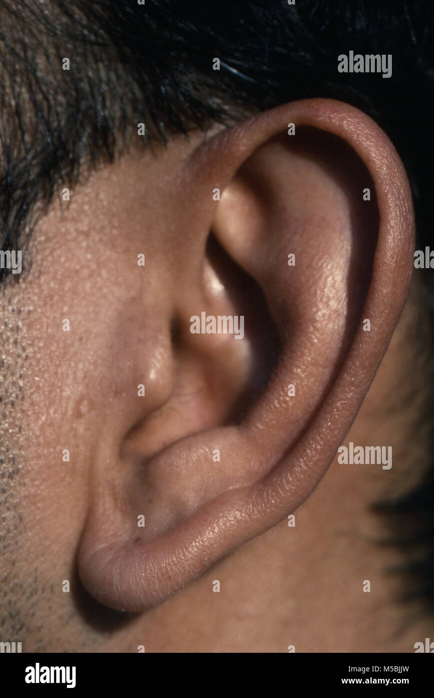 Close up of ear of a man, 44 years, India Stock Photo - Alamy