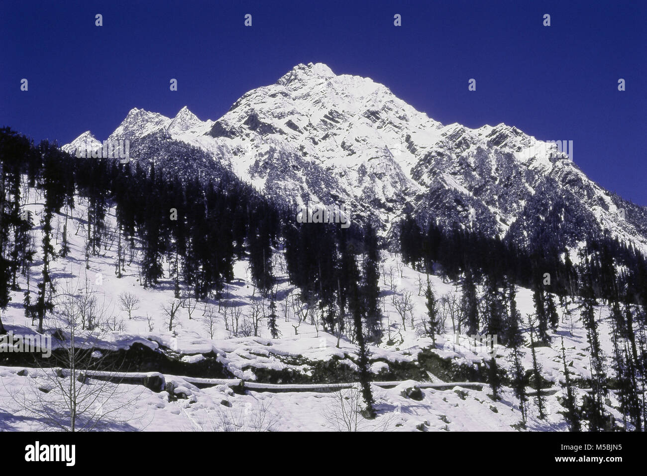 Solang valley hi-res stock photography and images - Alamy