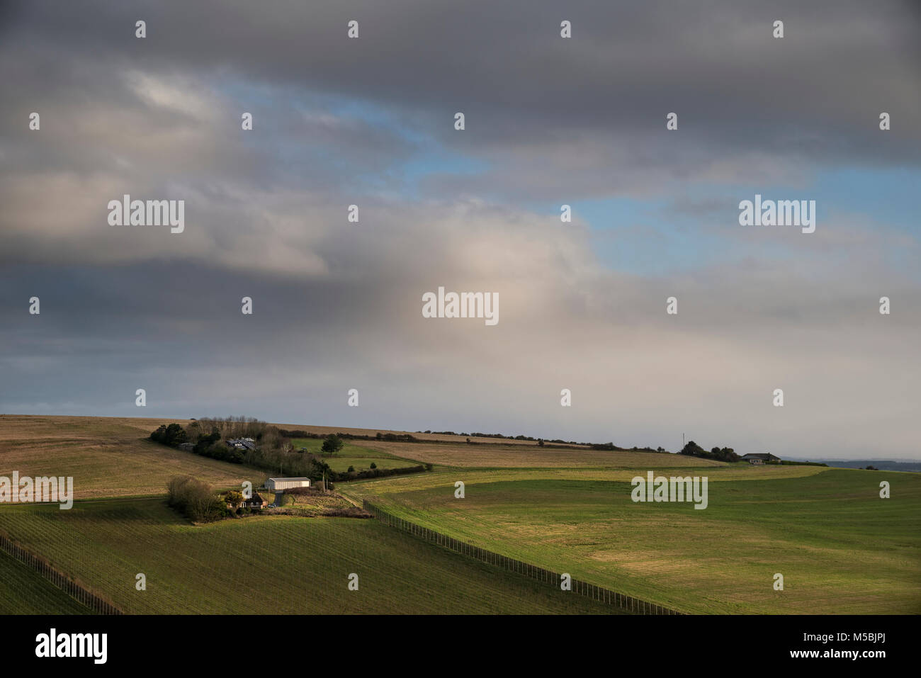 Landscape image of vineyard in English countryside scene with moody sky ...