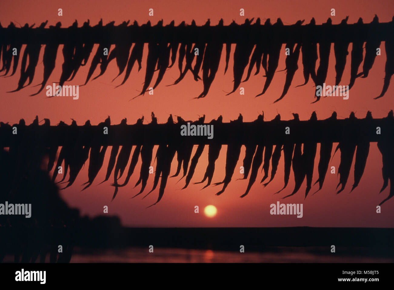 Mumbai seafood hi-res stock photography and images - Alamy