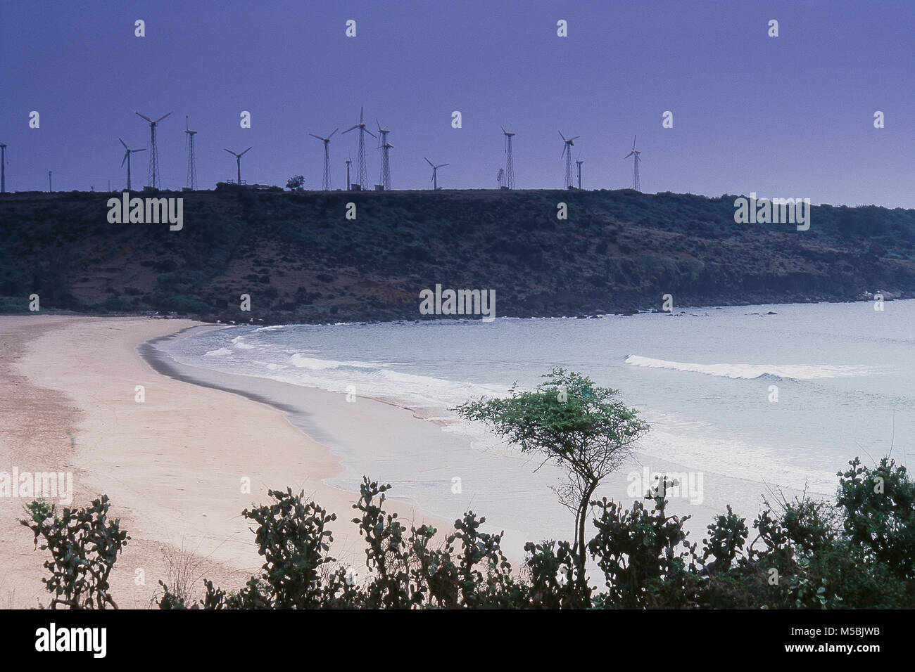 Windmill at Deogarh Beach, Konkan, Maharashtra, India Stock Photo - Alamy