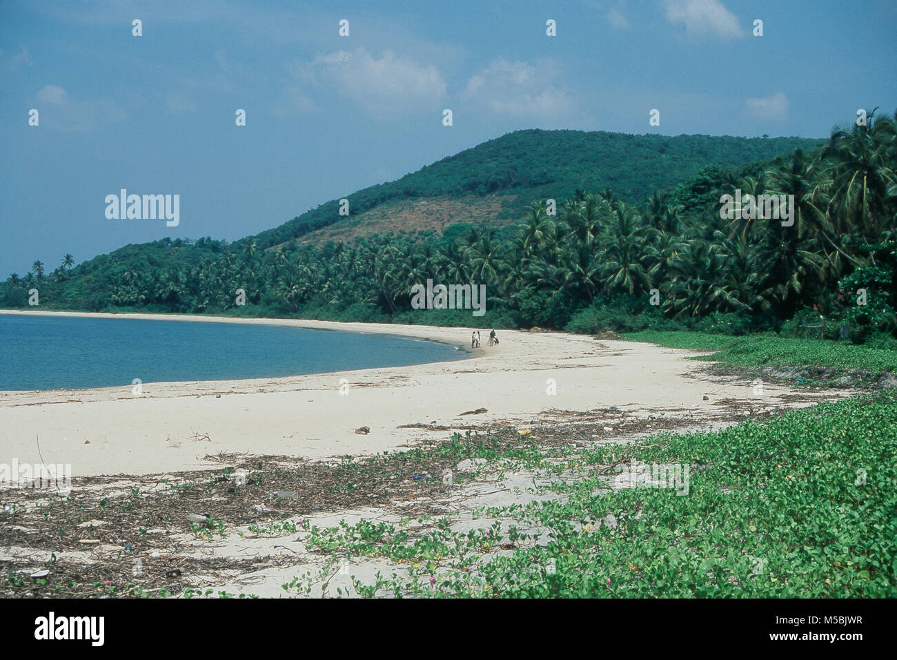 View of Bhogwe Beach, Devbag, Malvan, Konkan, Maharashtra, India Stock ...