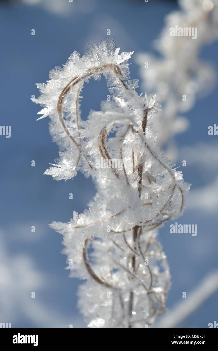 magical winter wonderland - ice crystals Stock Photo - Alamy