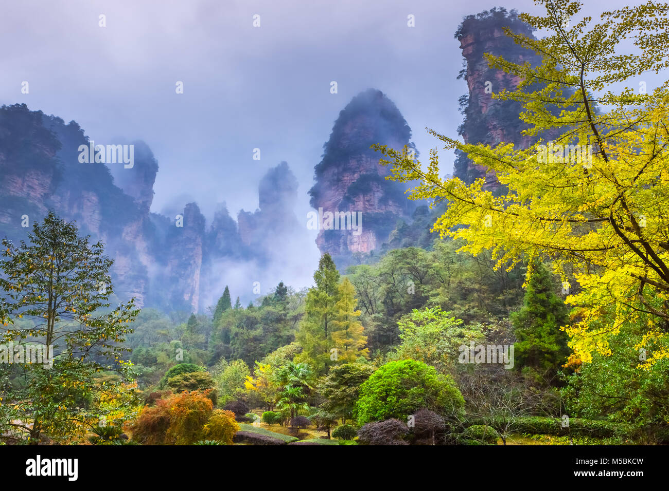 China, Hunan Province, Zhangjiajie City, Zhangjiajie Scenic Park ...