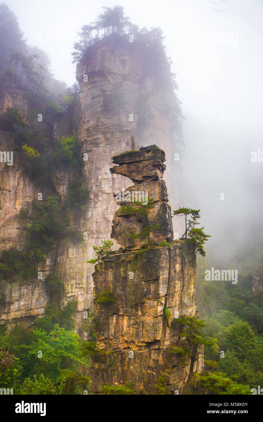 China, Hunan Province, Zhangjiajie City, Zhangjiajie Scenic Park ...