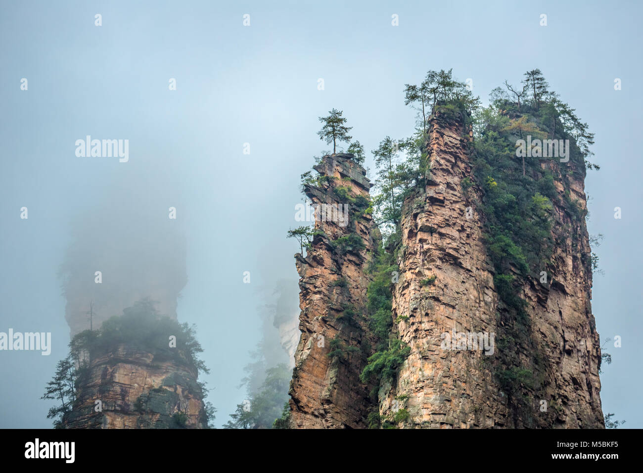 China, Hunan Province, Zhangjiajie City, Zhangjiajie Scenic Park ...