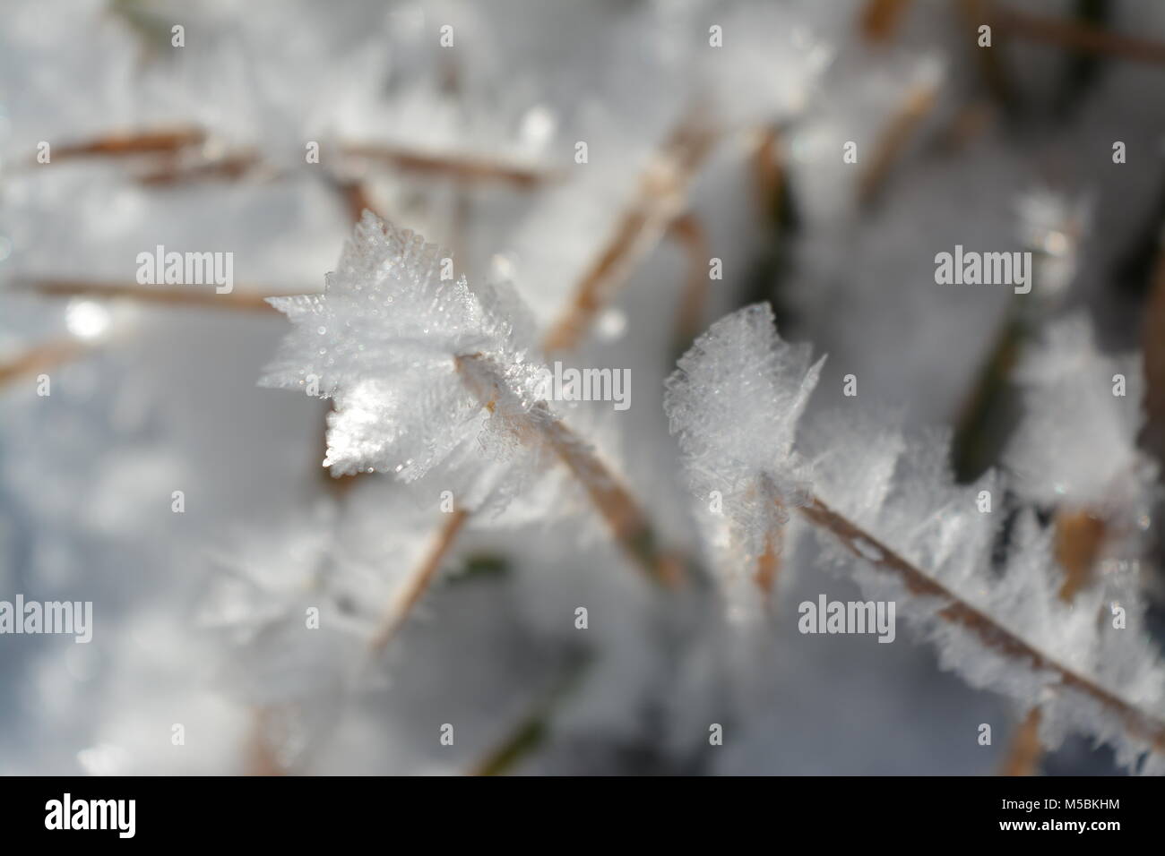 Ice wonderland hi-res stock photography and images - Alamy