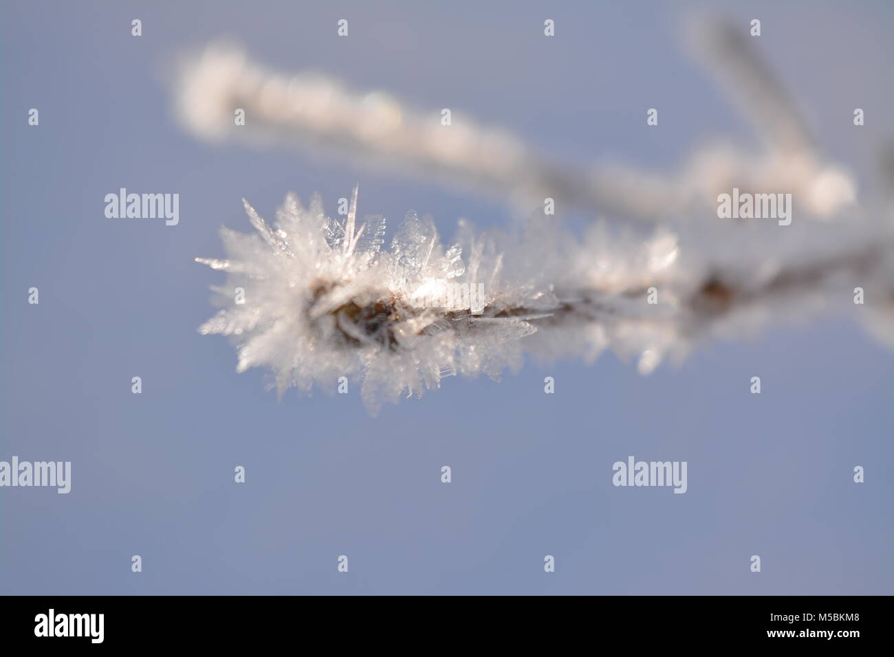 Outdoor cold wonderland january winter ice hi-res stock photography and ...