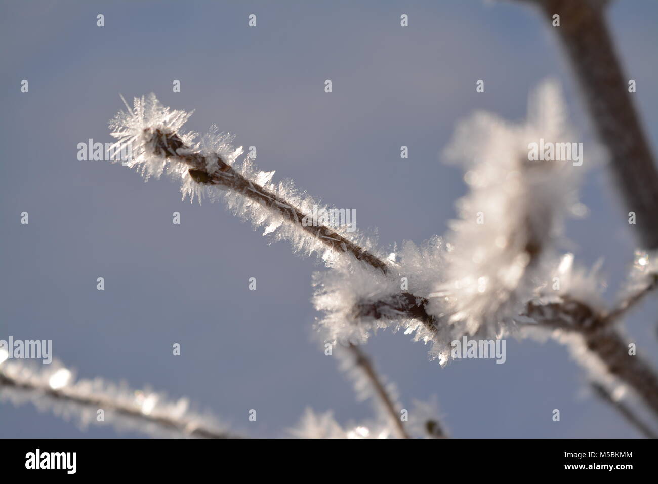 Outdoor cold wonderland january winter ice hi-res stock photography and ...