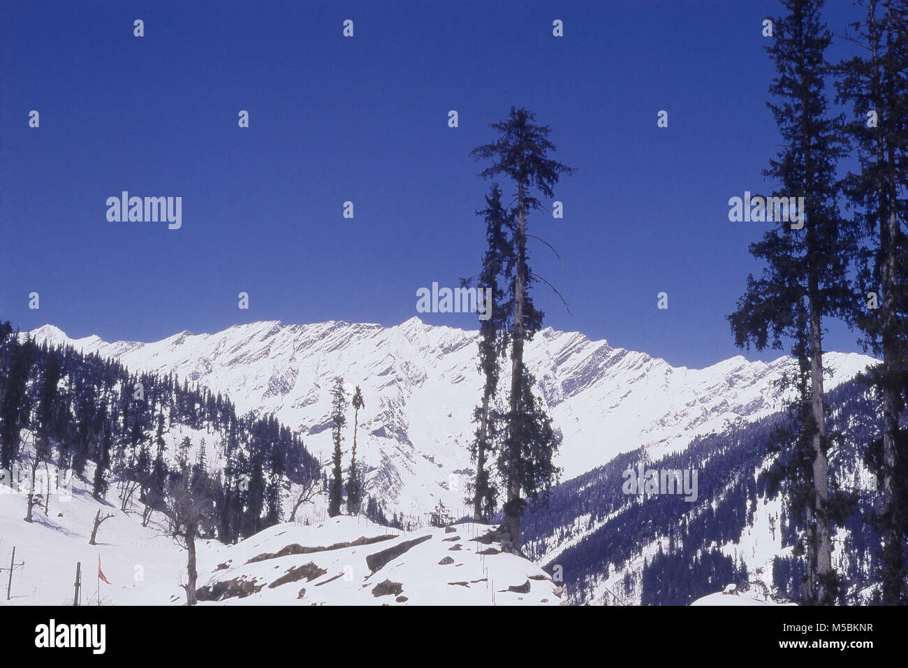 Glacier, snow capped mountain, Solang valley, Manali, Himachal Pradesh ...
