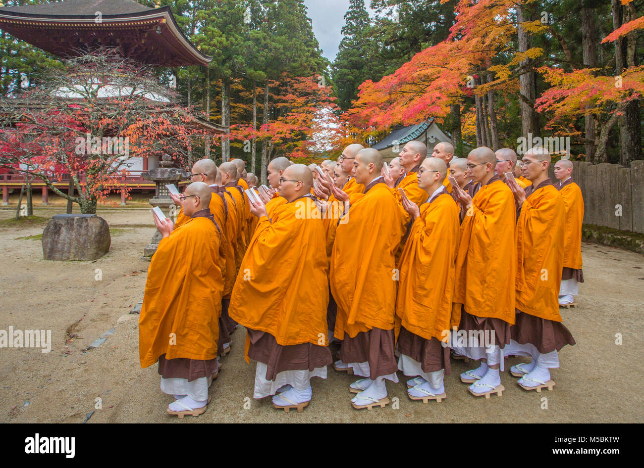 Japan, Koyasan City,Kongobuji Temple, Monks Praying Stock Photo - Alamy