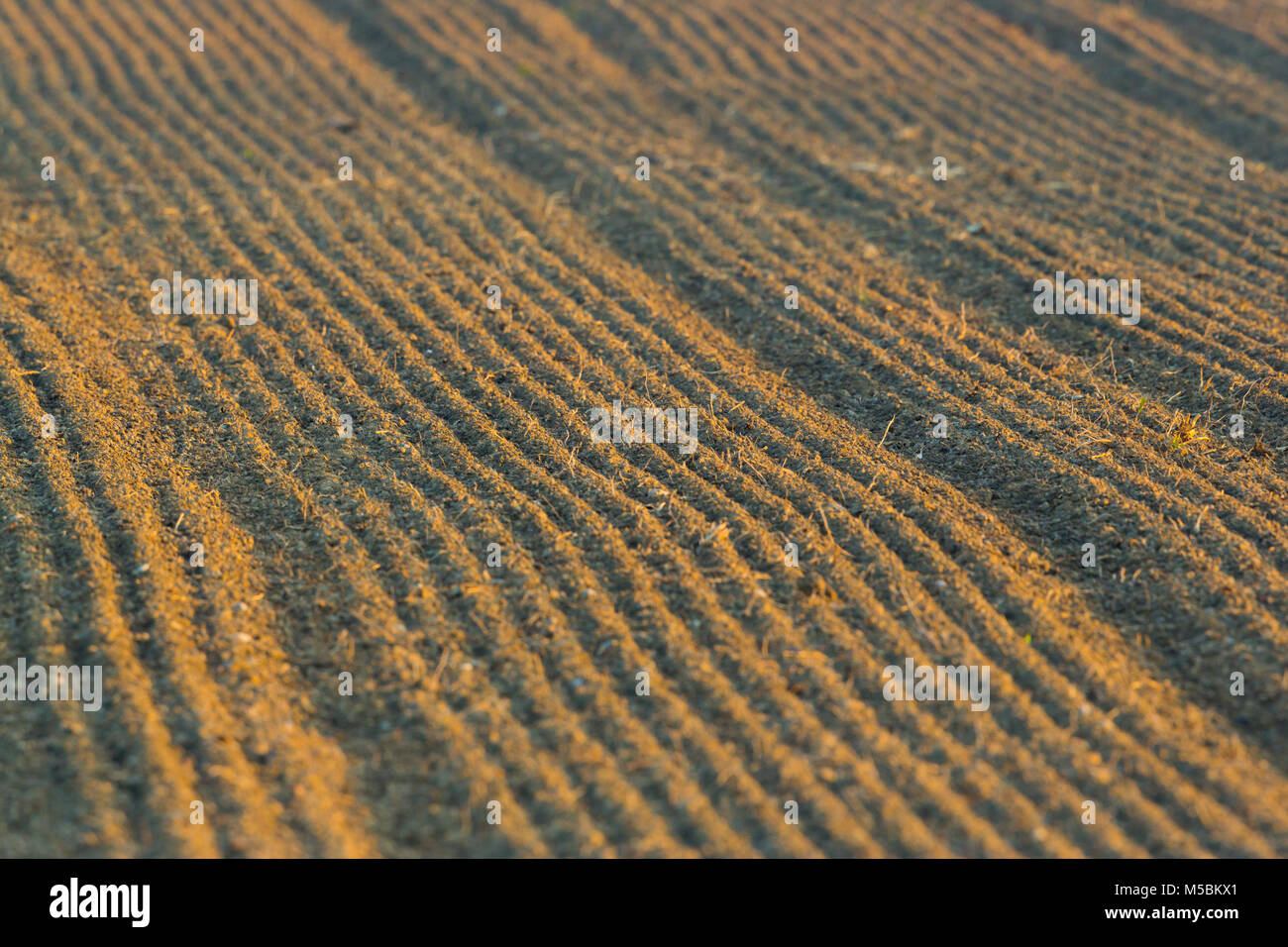 Furrowed soil hi-res stock photography and images - Alamy