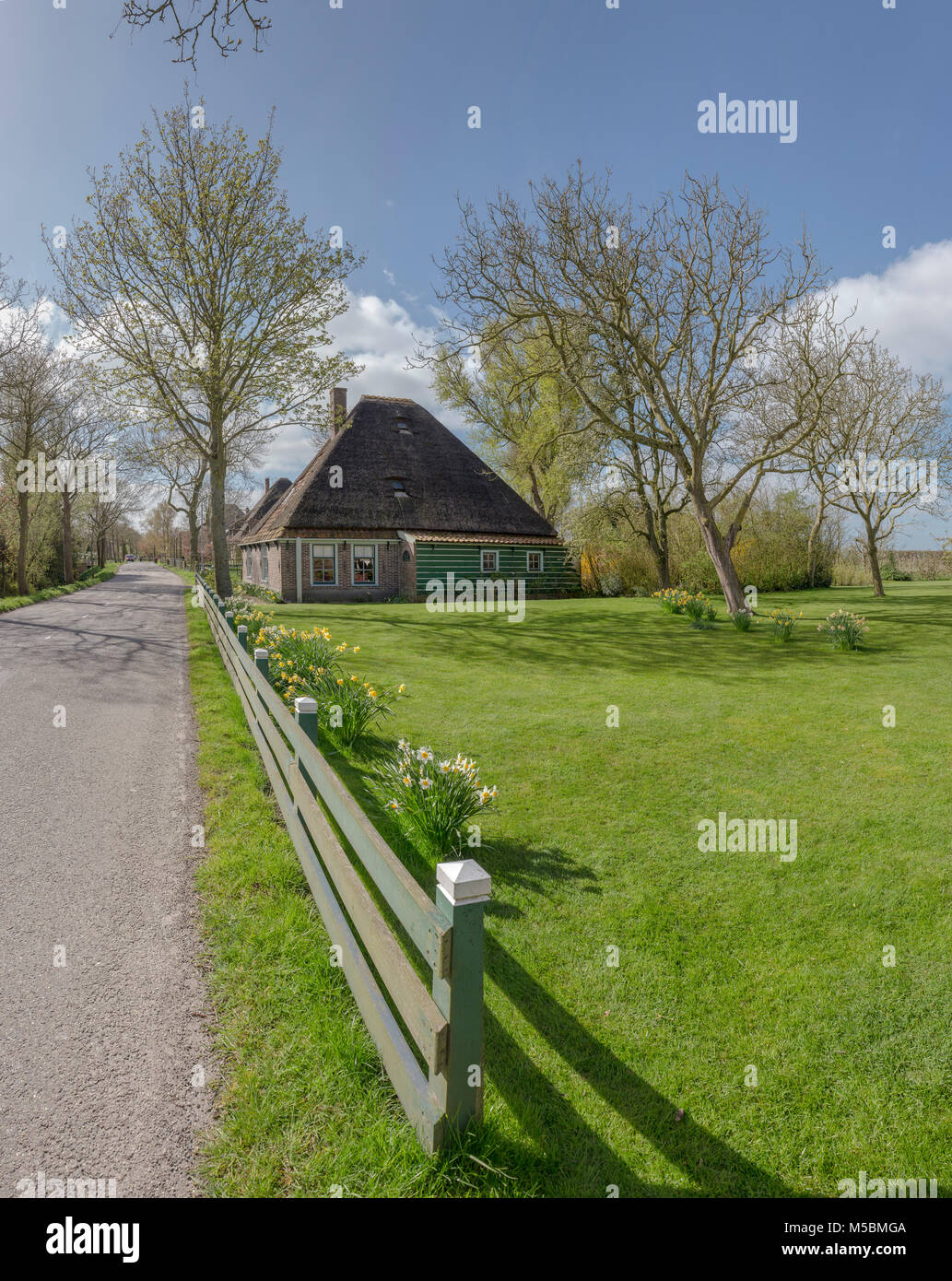 Traditional Dutch farmhouse built in the shape of a cheese-cover Stock ...