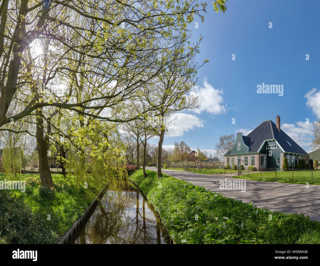 Traditional Dutch farmhouse built in the shape of a cheese-cover Stock ...