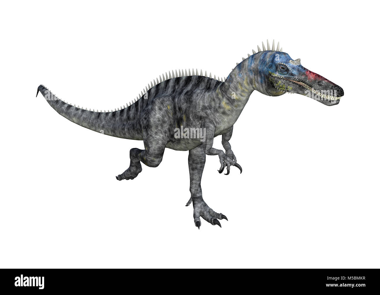3D rendering of a dinosaur Suchomimus or Suchomimus tenerensis isolated ...