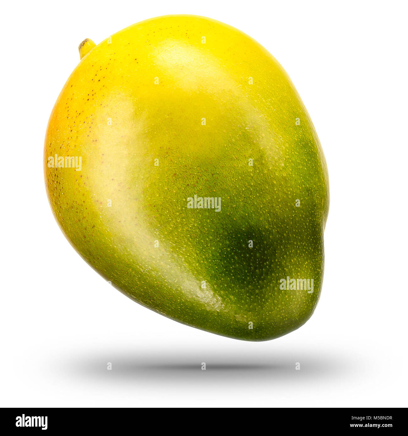 Single mango fruit isolated on white background Stock Photo - Alamy