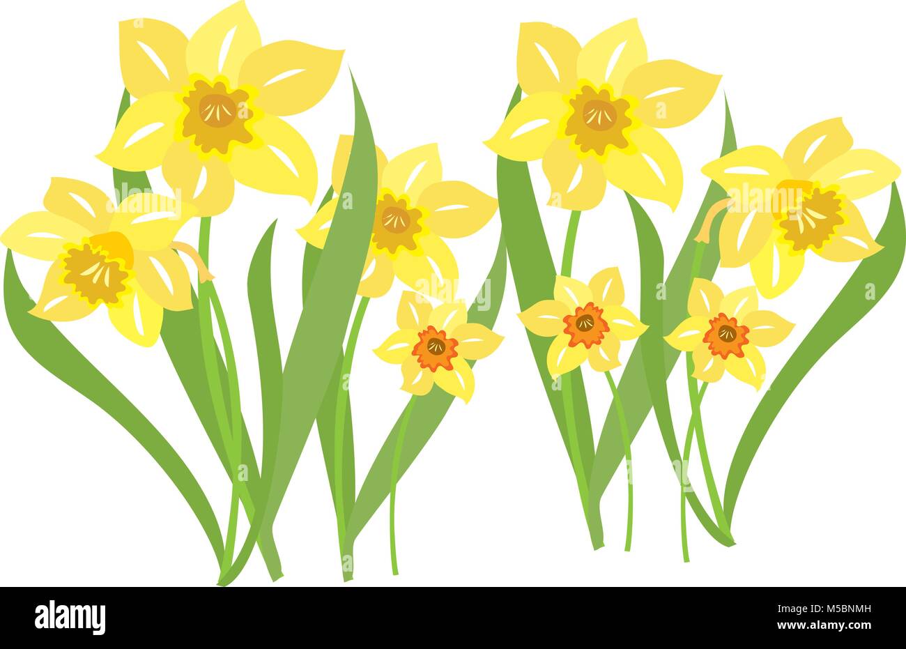 Daffodils Clipart