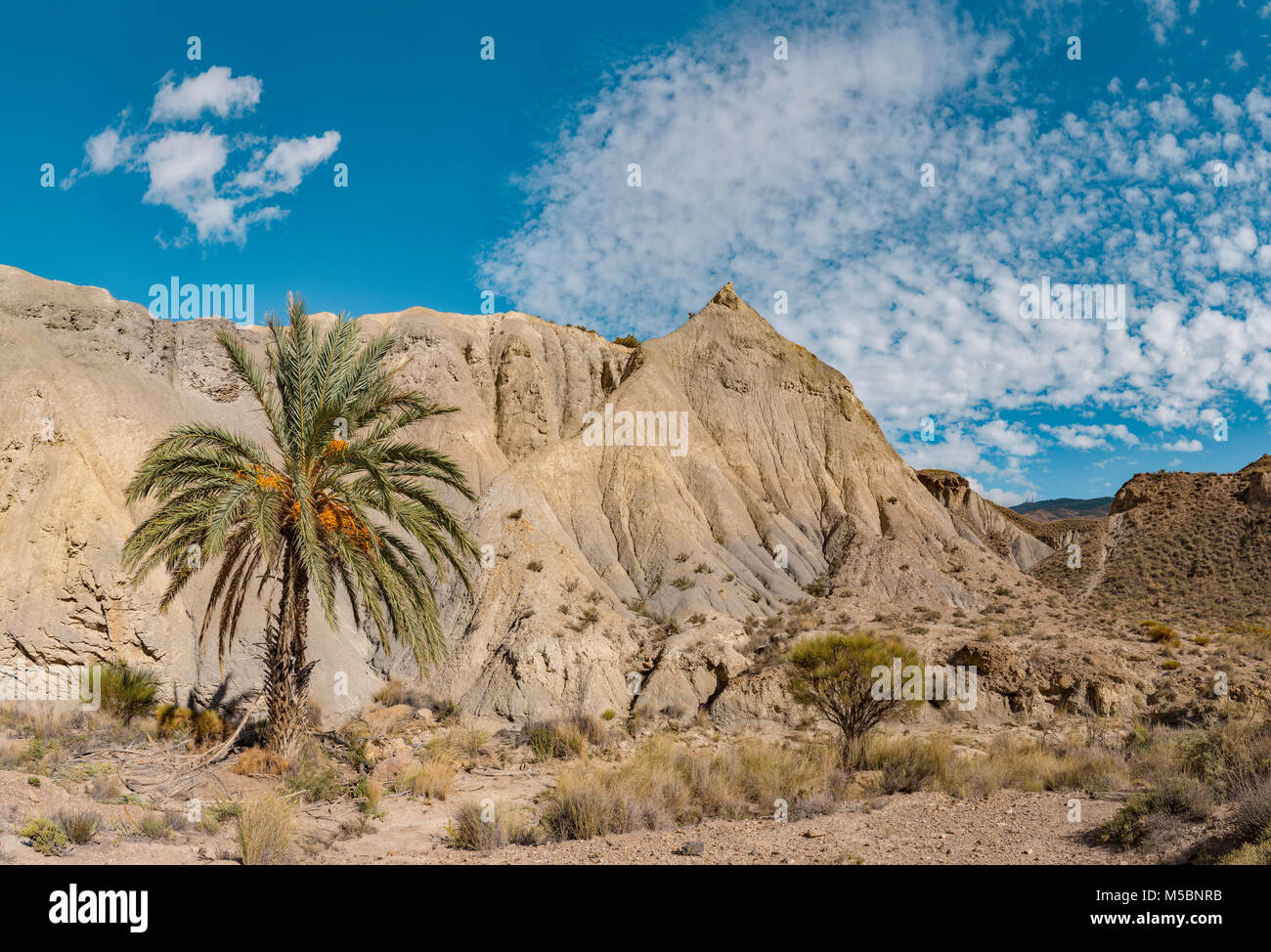 The Tabernas desert Stock Photo - Alamy