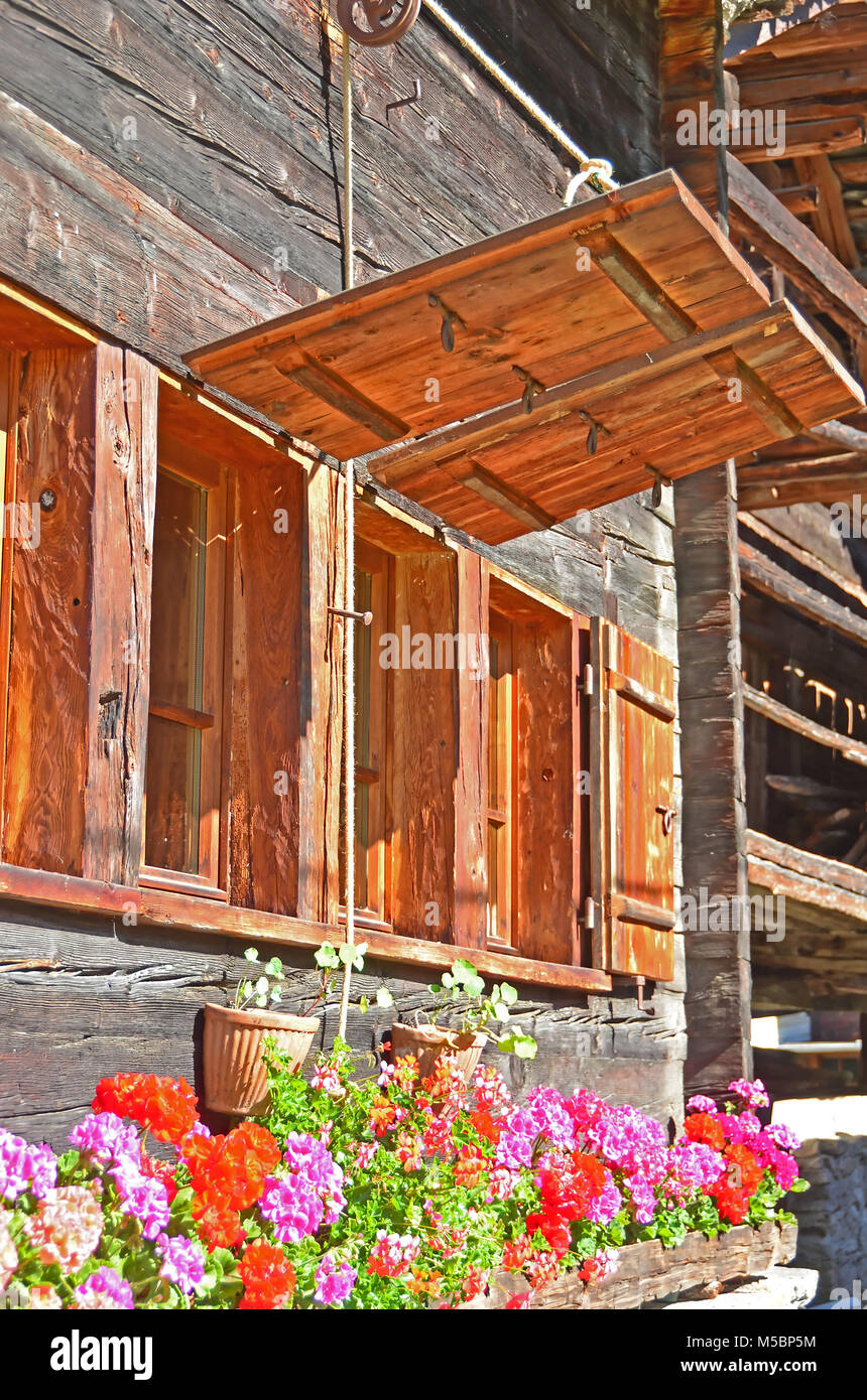 Traditional alpine chalet with window boxes of geraniums and vertically ...
