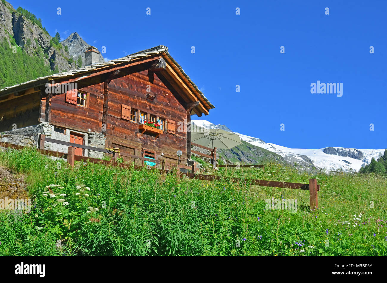 A traditional alpine chalet in a meadow of flowers with glaciers and ...