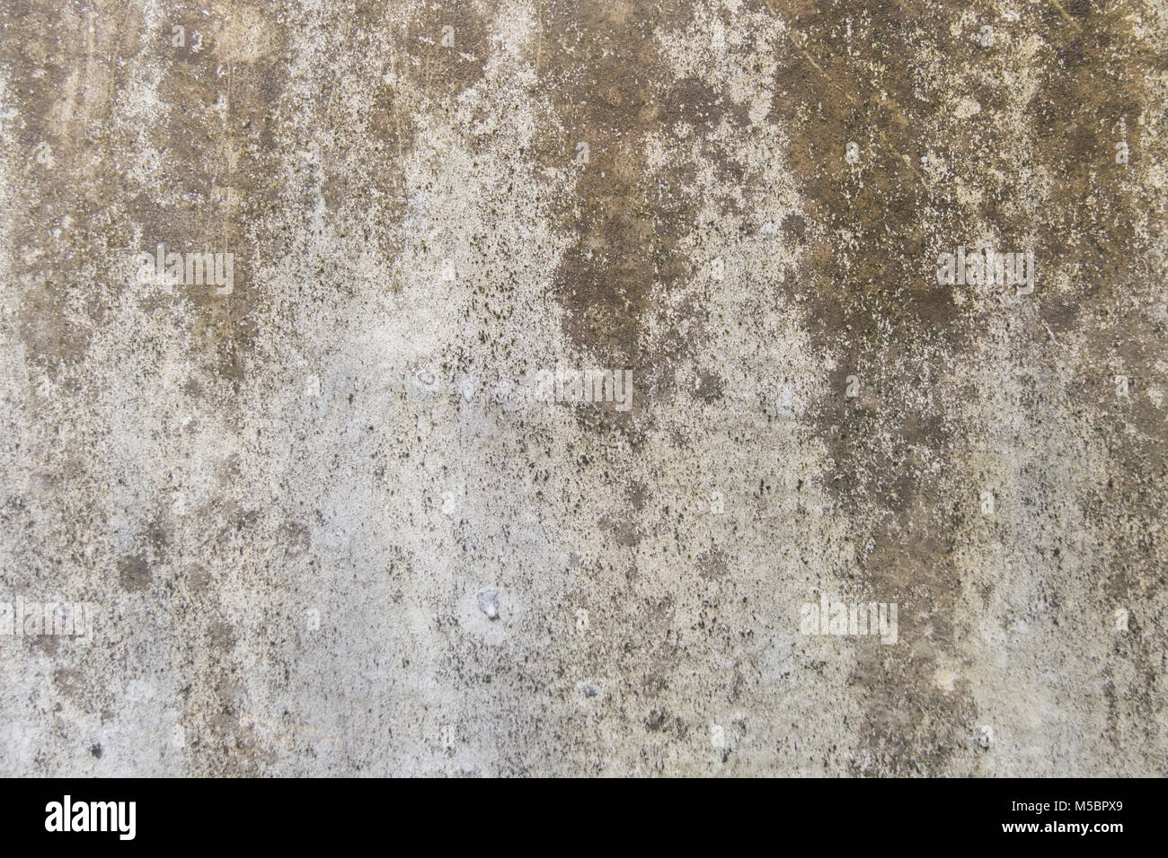 Portland stone texture hi-res stock photography and images - Alamy