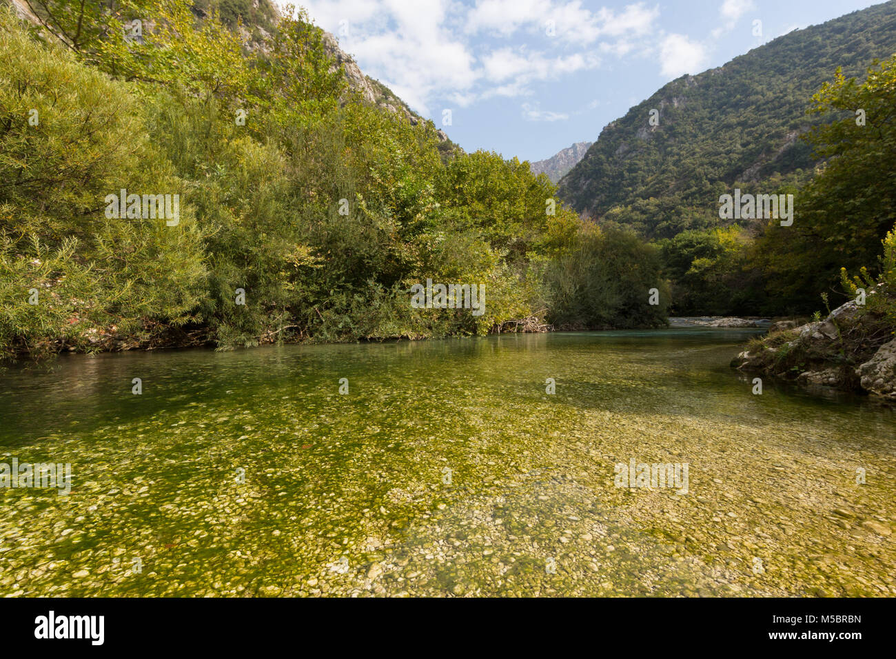 Vegetation green greece hi-res stock photography and images - Alamy