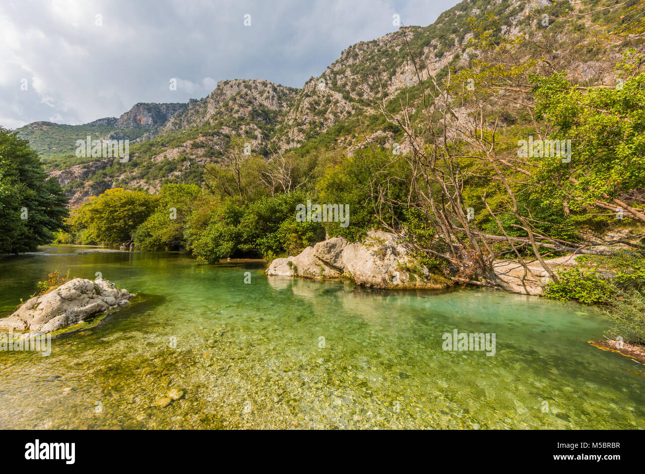 Vegetation green greece hi-res stock photography and images - Alamy