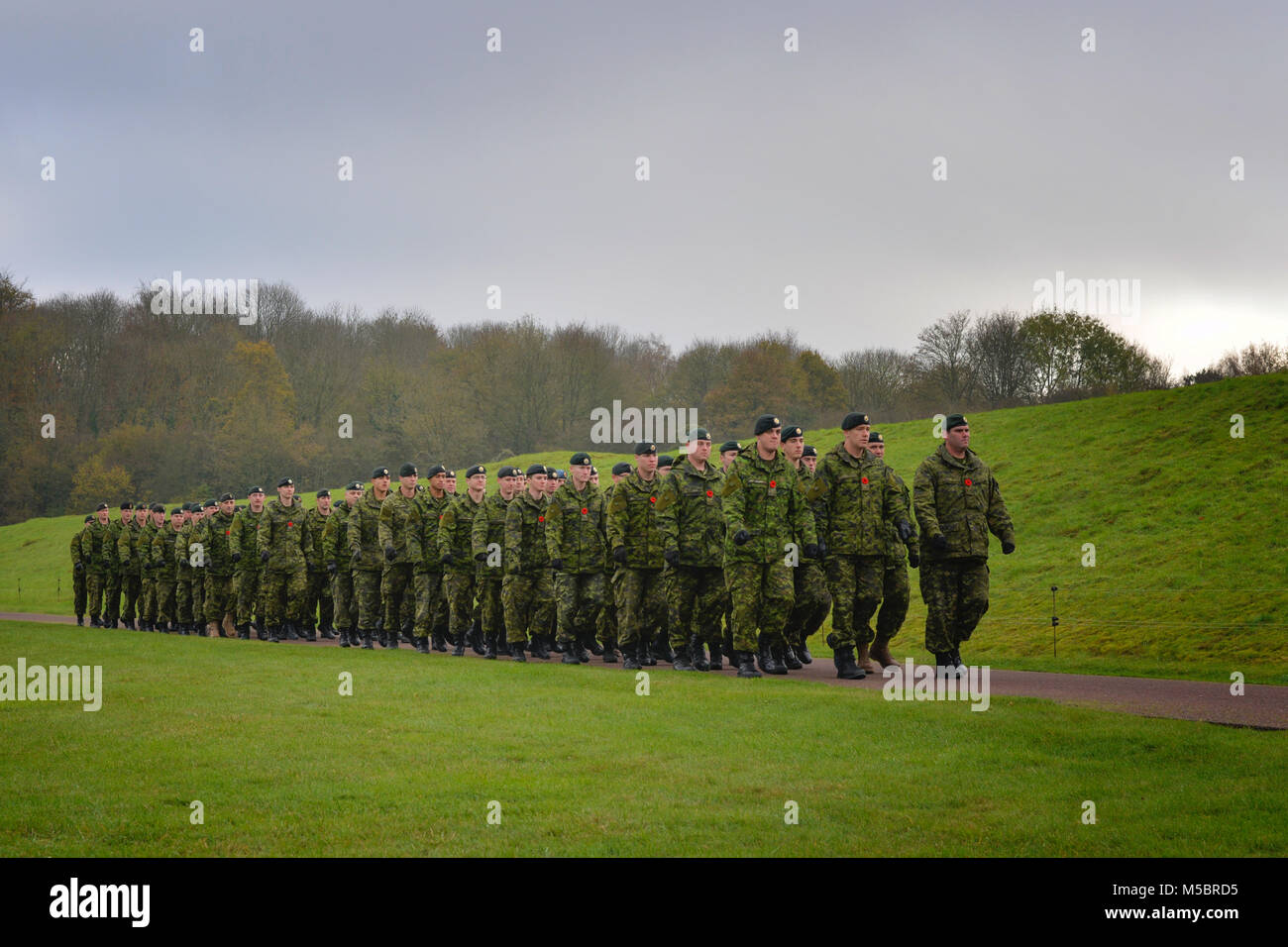 Members of the Canadian Armed Forces marching to the Remembrance Day ...
