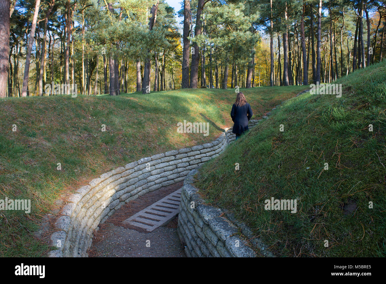 A visitor touring the preserved trenches dating from the Battle of Vimy ...