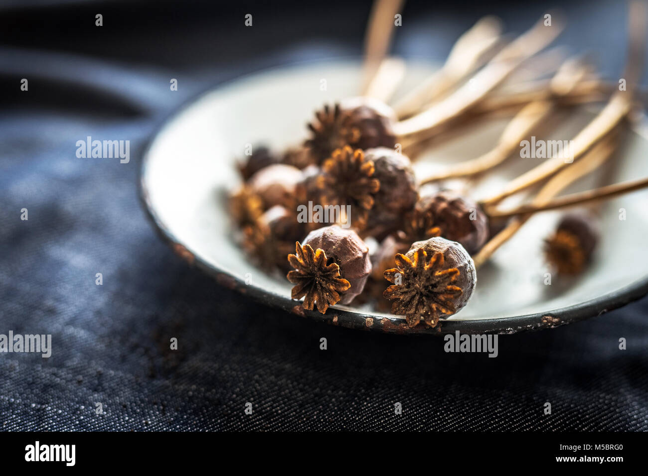 Dried poppy heads and seeds Stock Photo - Alamy