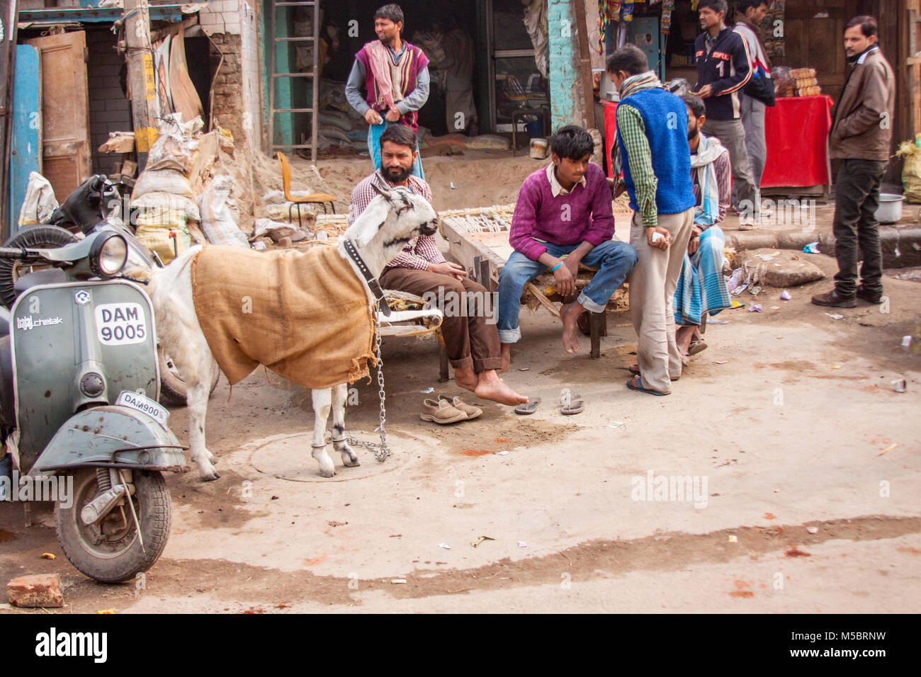 A Street Scene in India Stock Photo - Alamy