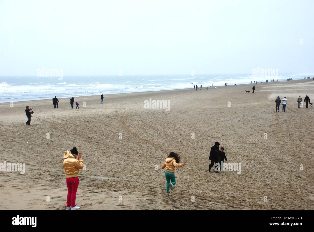 Windy Sandy Beach High Resolution Stock Photography and Images - Alamy